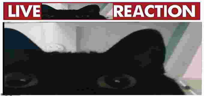 GitHub - opentoucan/kobot