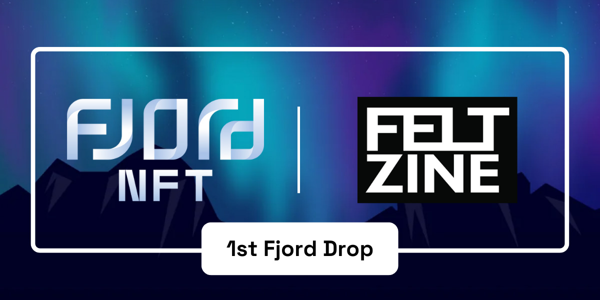 GitHub - Javier-Szyfer/feltzine-fjord-contract