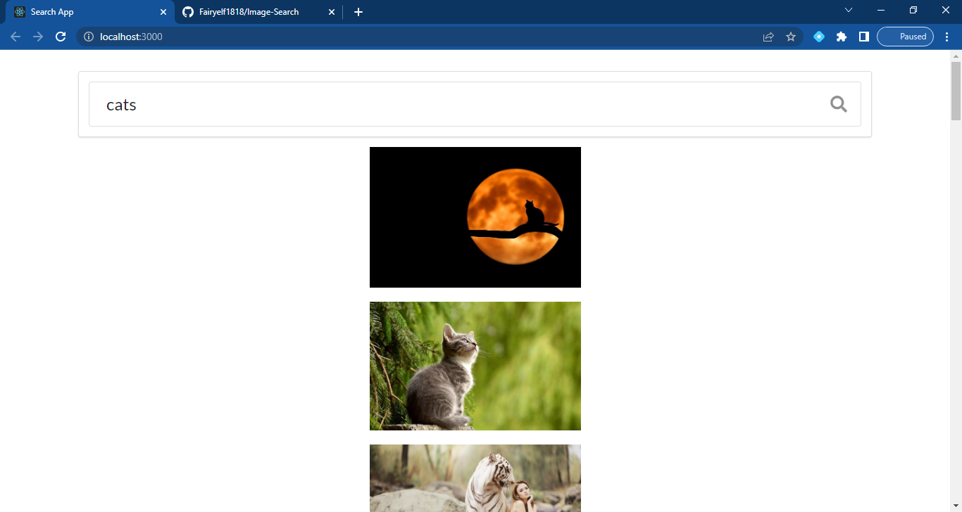 GitHub - Fairyelf1818/Image-Search: If you type in a word (for example ...