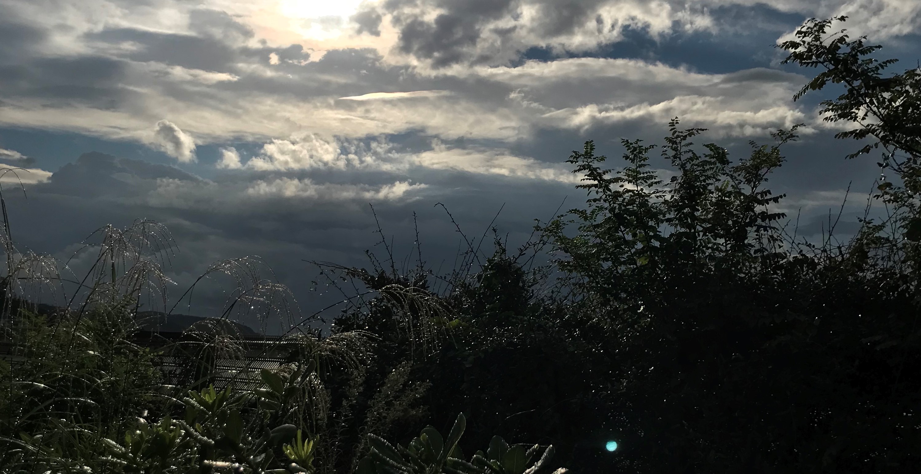 Github Mass10 Mass10 Github Io