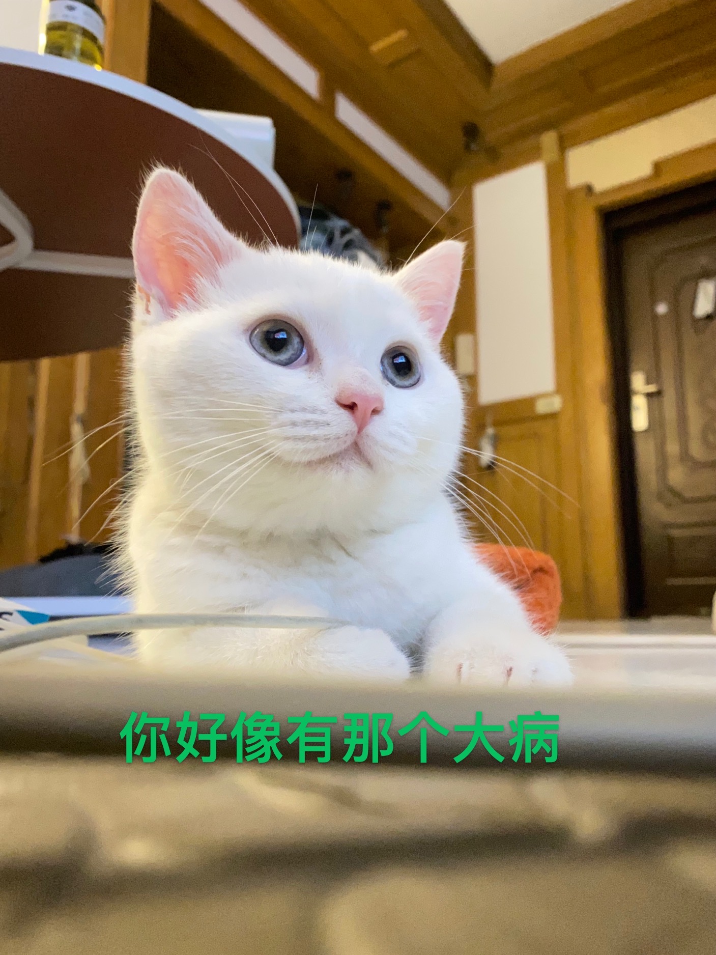 GitHub - FYLsm/FYL.github.io: 小夫的主页