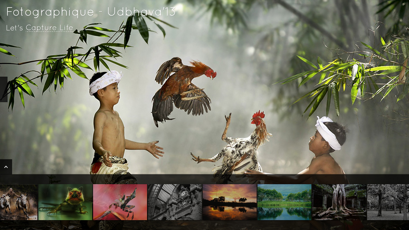 GitHub - aeron7/shutterbug: HTML Website for Photography