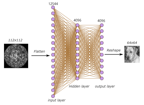 GitHub - zhuchangyan/Natural-Image-Reconstruction: Codes for natural ...
