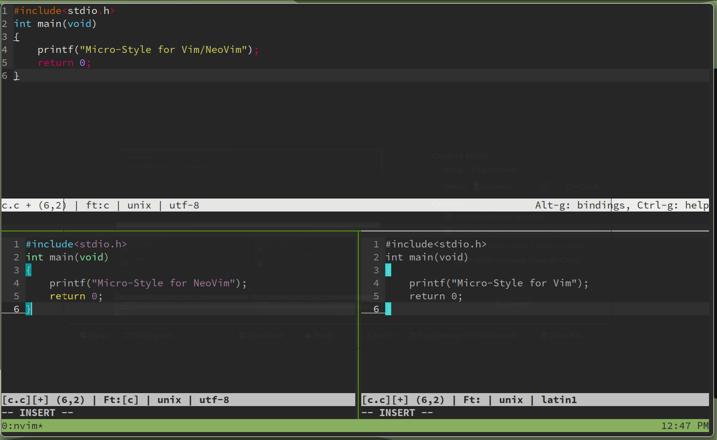 GitHub - ItsZariep/micro-vim: Micro style for nvim