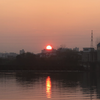 Github Dtyyyy Dtyyyy Github Io