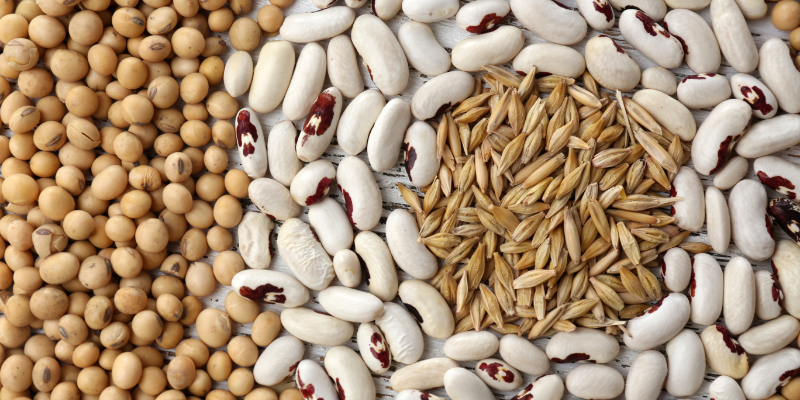 GitHub - miksut/open_set_recognition