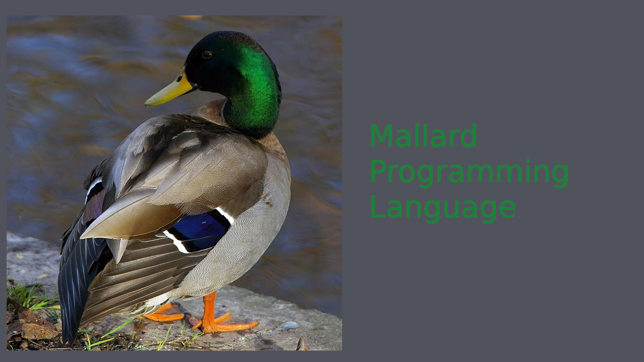 learn-mallard · GitHub Topics · GitHub