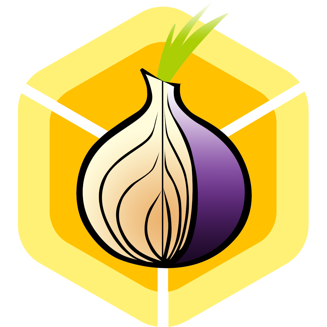 GitHub - hufhend/balena-obfs4-bridge: Create a tor bridge from a small ...