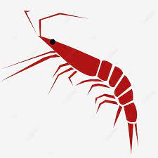 GitHub - lytexh/shrimp-beamer: auto hitter for roblox · GitHub
