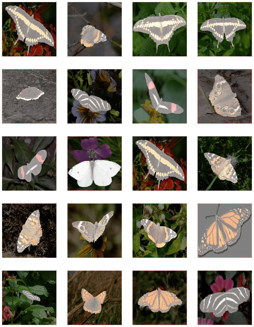 Butterfly-Segmentation-Attention-UNet/butterfly-segmentation-attention-unet.ipynb at main ...