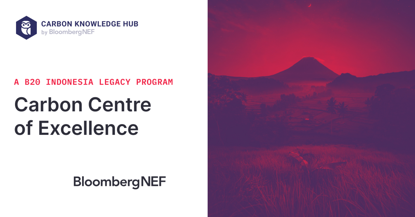 GitHub - carbon-knowledge-hub/carbon-knowledge-hub: Carbon Knowledge Hub repo