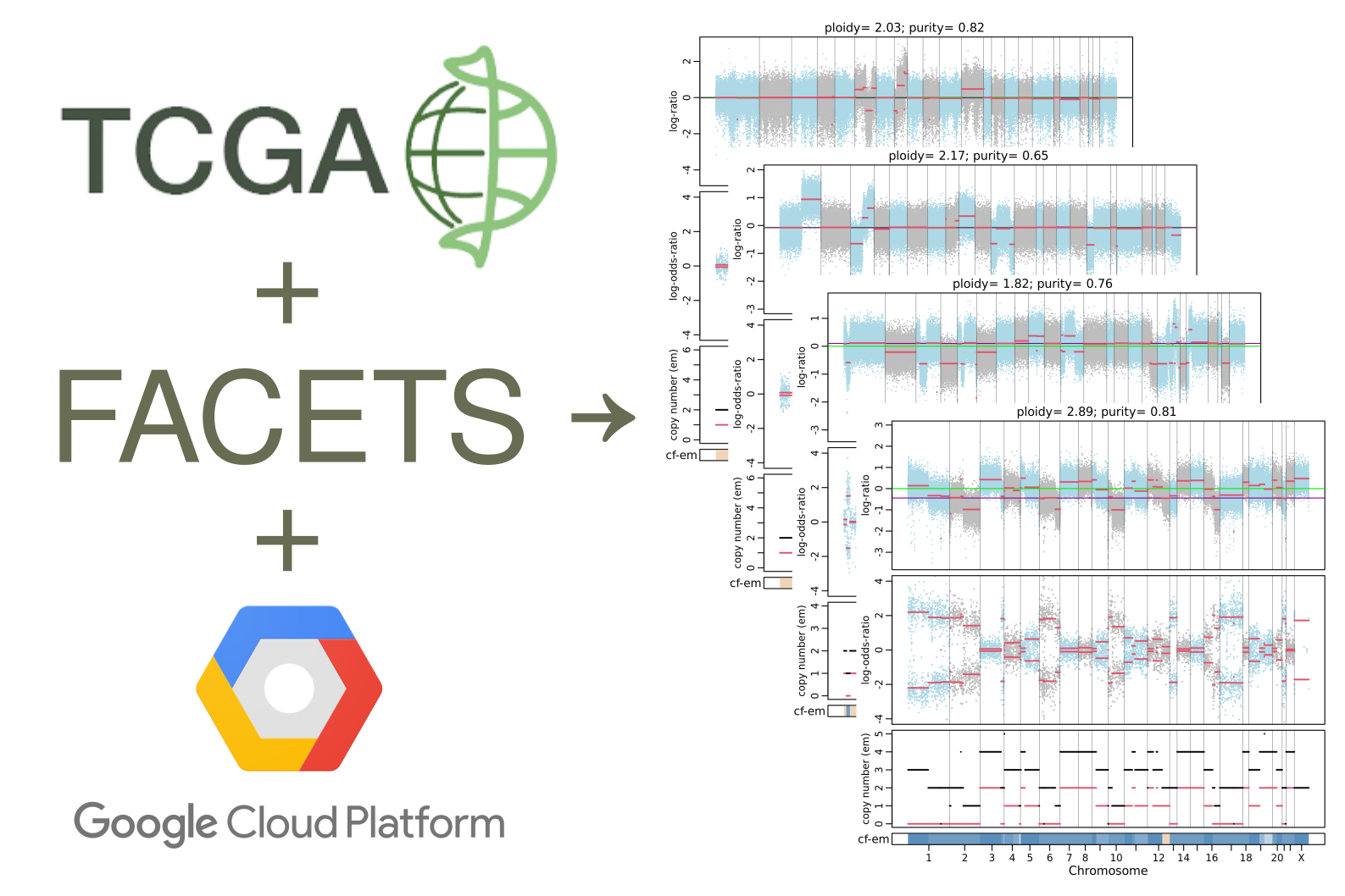 GitHub - ypradat/TCGA_Facets: Snakemake pipeline for running FACETS on all WXS TCGA samples.