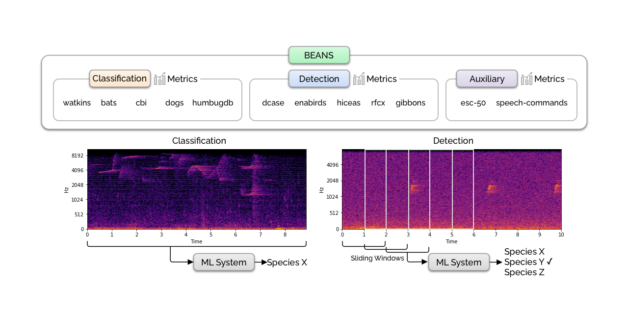 GitHub - earthspecies/beans: BEANS: The Benchmark of Animal Sounds