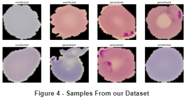 GitHub - NishadKhudabux/Malaria-Detection: Build a computer vision model to detect malaria from ...