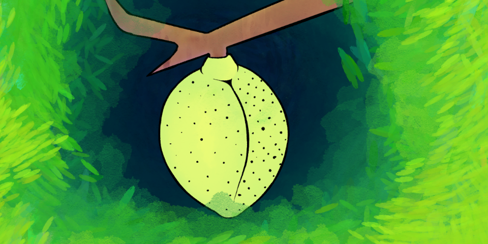 GitHub - Solar-Games/Treenut: Treenut - A scripting language.