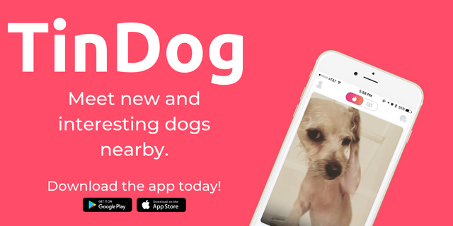 GitHub - ab1820/TinDog-Start-master: First mockup webpage I created as ...