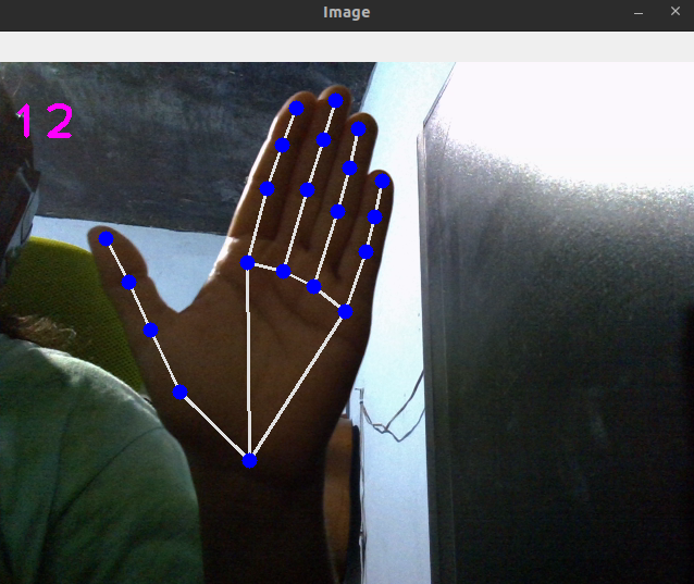GitHub - AnabelBerumen/handTrackingOpencv: Reading and visualization of ...