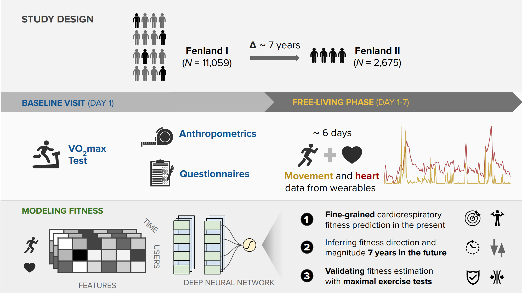 GitHub - sdimi/cardiofitness: 💪 Predict lab-measured cardio fitness (VO2max) through wearables ...