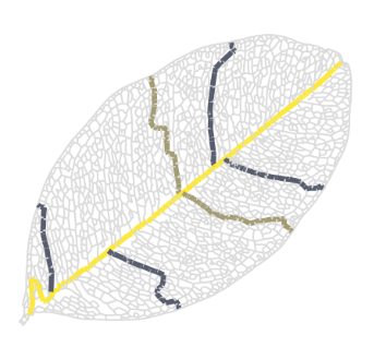 dual-communities/examples.ipynb at main · phboett/dual-communities · GitHub