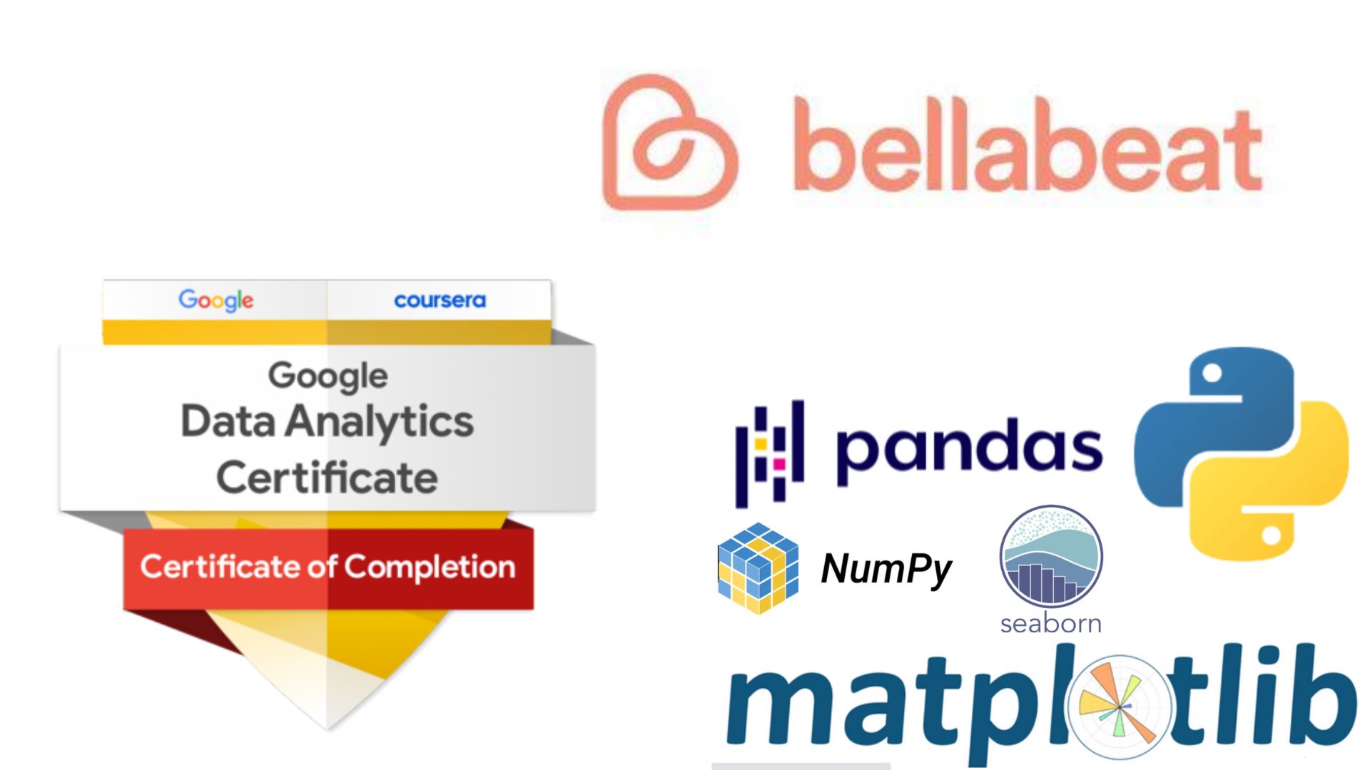 GitHub - Syed-Niaz/Bellabeat-Capstone-Project