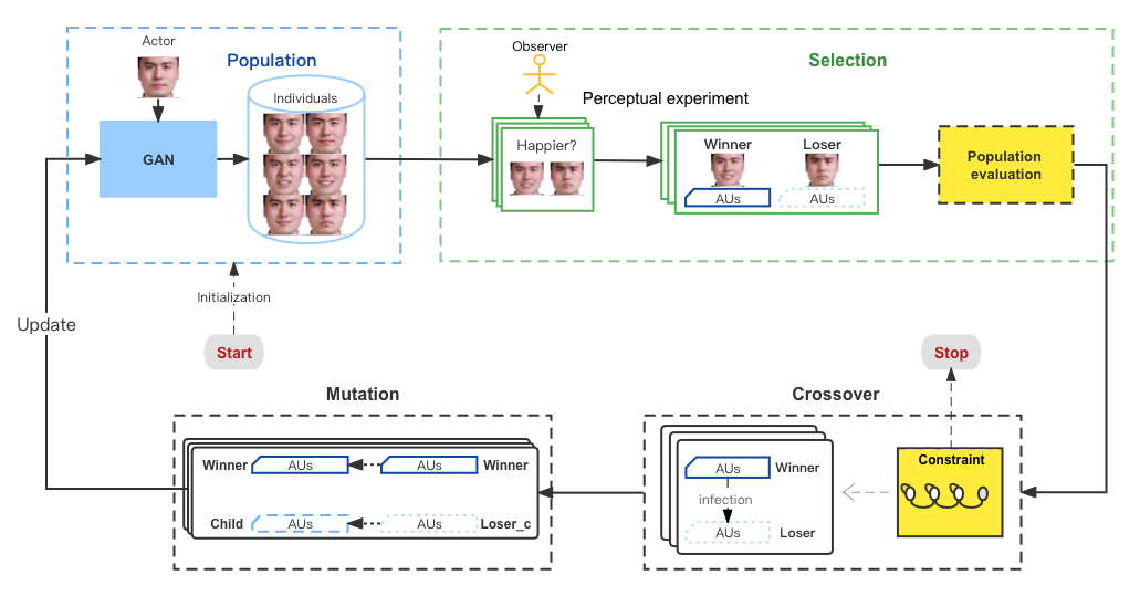 GitHub - yansen0508/Interactive-Microbial-Genetic-Algorithm: IMGA Project