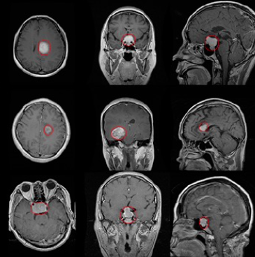 GitHub - carricks/Pred_Models: Compilation of models of prediction of ...