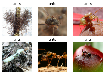 Hymenoptera-Dataset--Classification-to-Demonstrate-Transfer-Learning/ants-and-bees.ipynb at main ...