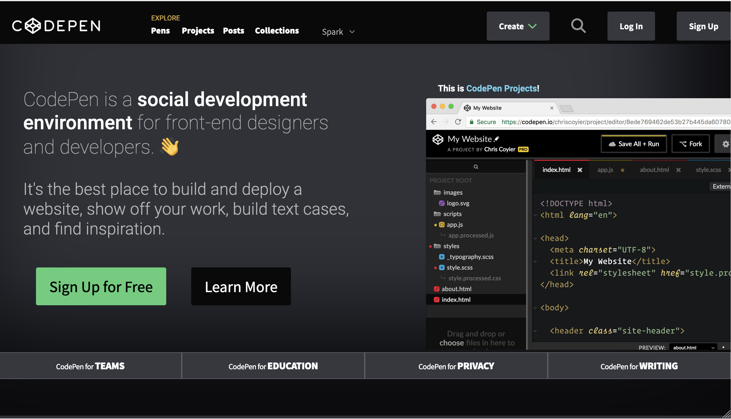 GitHub - eidersuso/Codepen-Homepage-Project