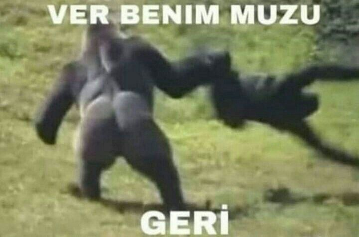 GitHub - Necito/agar-clone