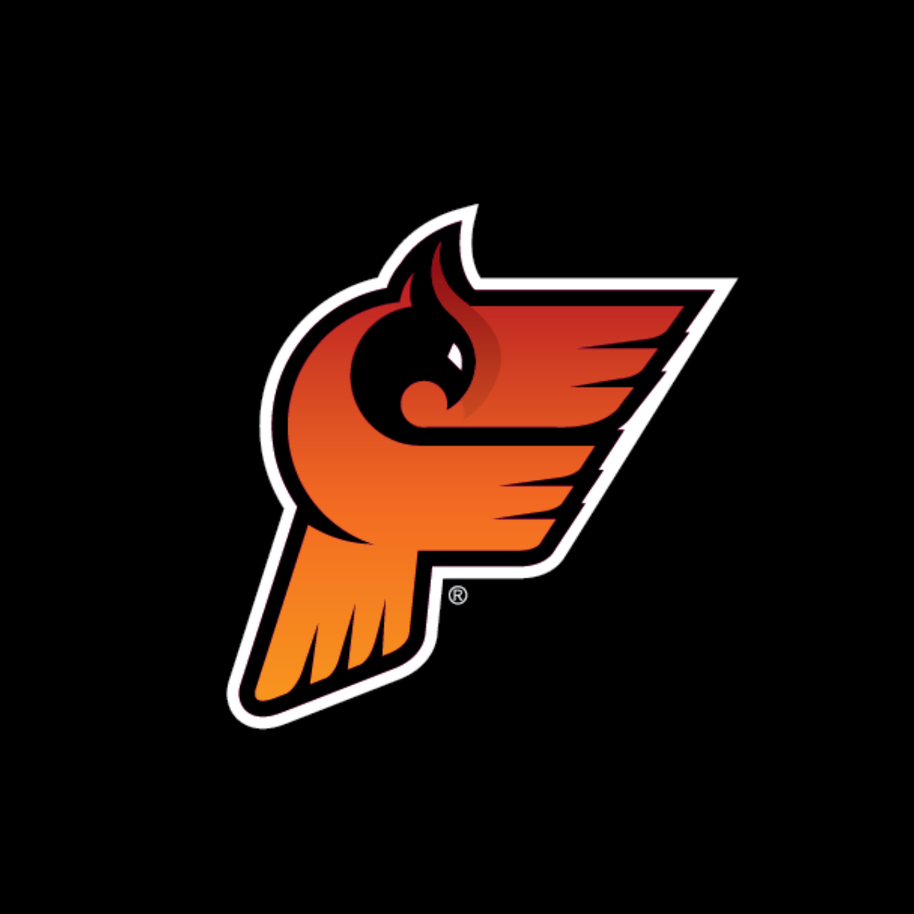 GitHub - Bielzimddd/Fenix-Story: Melhor loja que voce vera