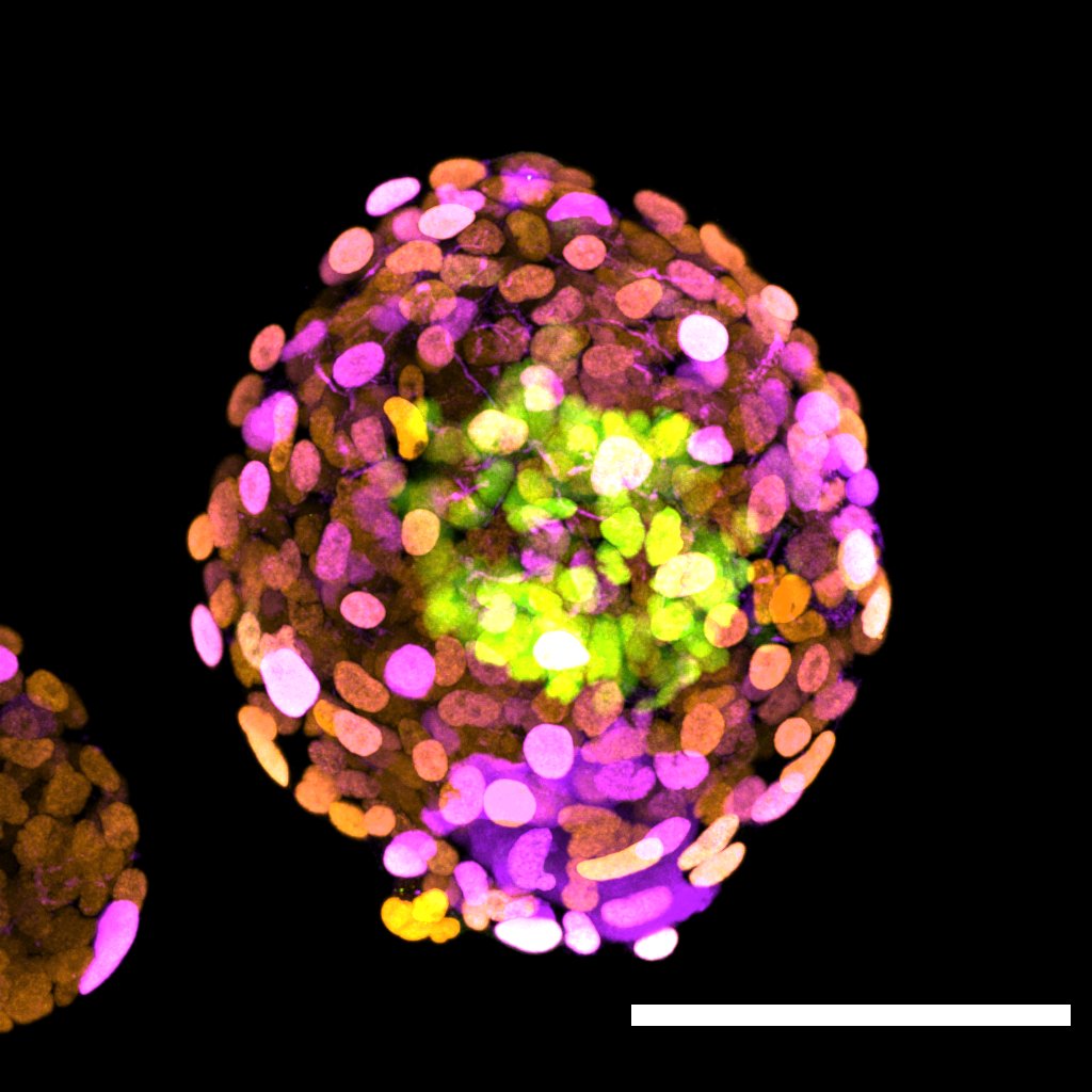GitHub - bweatherbee/human_model: This repository contains code associated with the analysis of ...