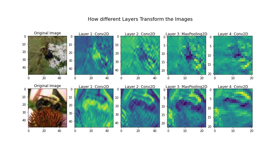 Na-ve-Bees-Deep-Learning-with-Images/naive_Bees_dL.ipynb at main · botAshar/Na-ve-Bees-Deep ...