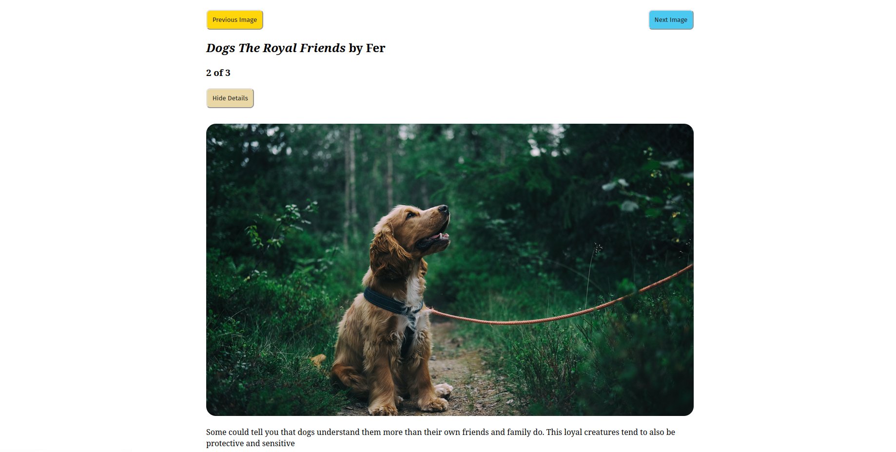 GitHub - 2Kelvin/state