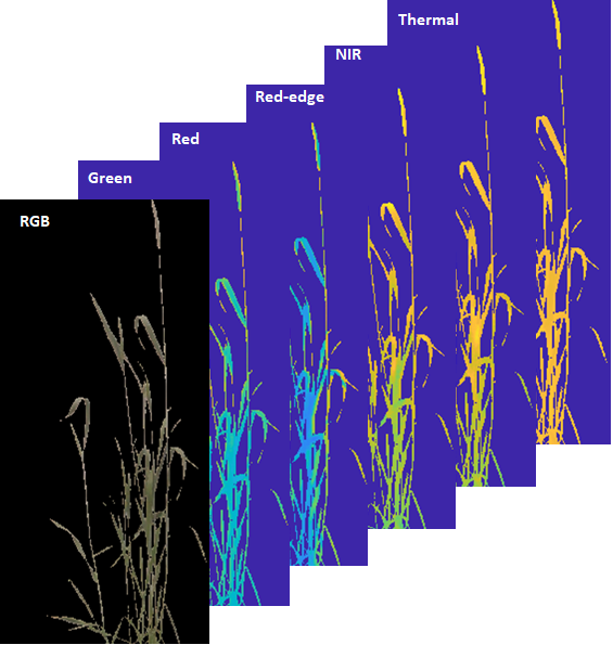 GitHub - SmartSense-iHub/Thermal-and-Multispectral-Image-Analysis ...