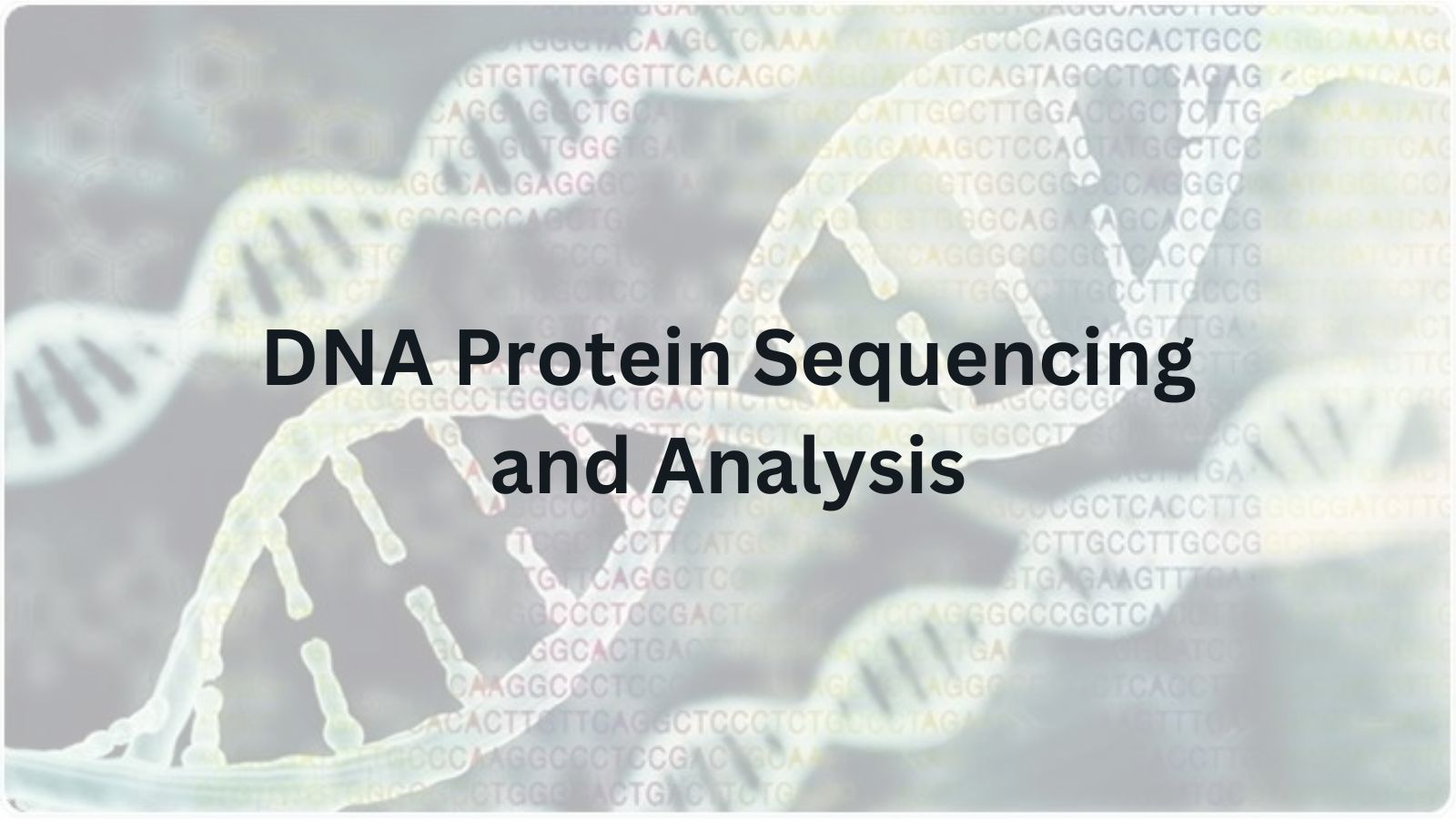GitHub - pestipona/DNA-Protein-Sequencing-and-Analysis