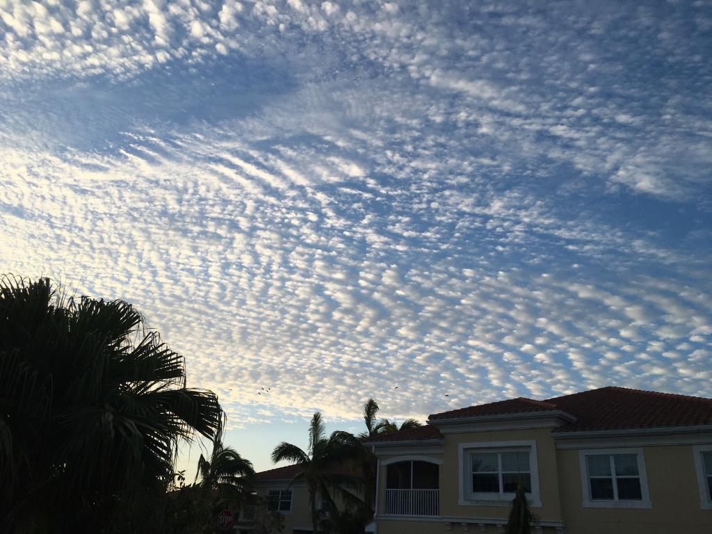 GitHub - ktsorensenWX/CNN-Django-Application