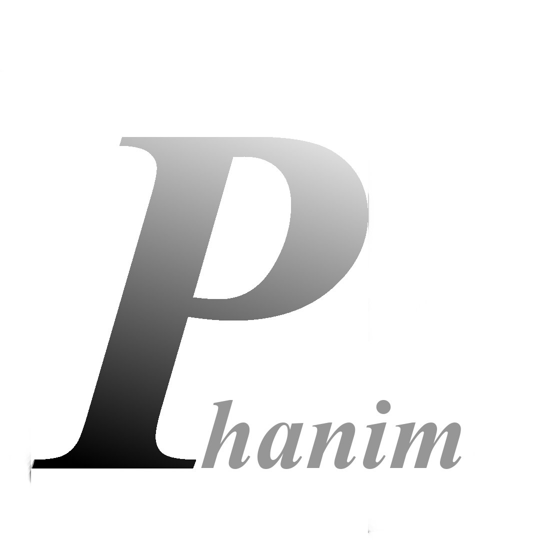 GitHub - quirijndubois/phanim: Physics render engine