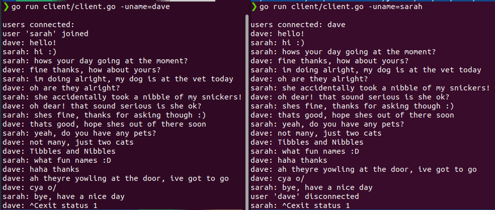 GitHub - elliot-mb/pichat: tiny command-line chat program hosted on my ...