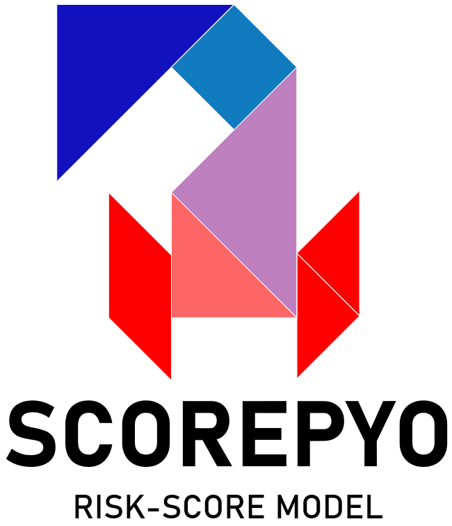 GitHub - sami-ka/scorepyo: Python library for binary risk score model creation
