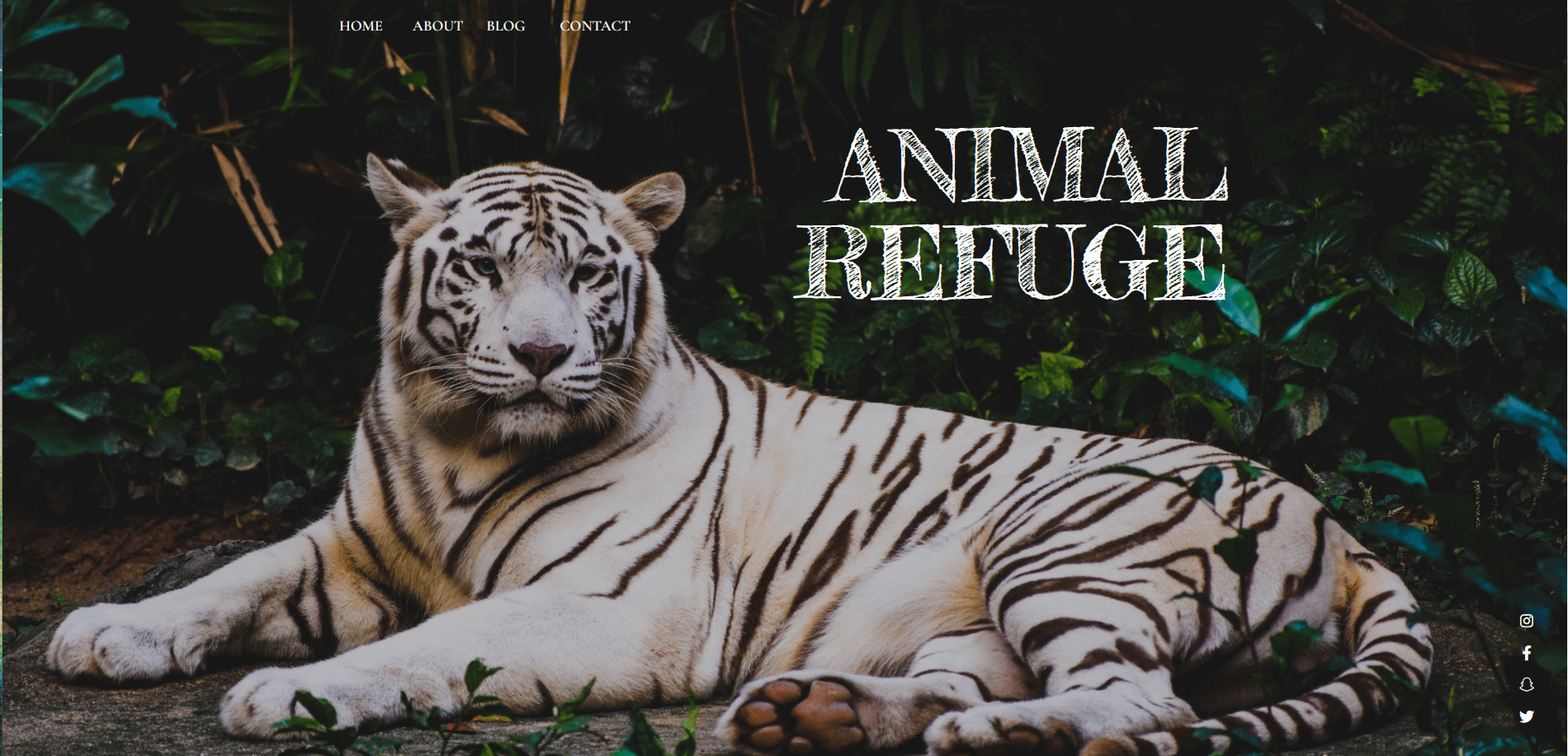 GitHub - haleytibbitts/animal-refuge