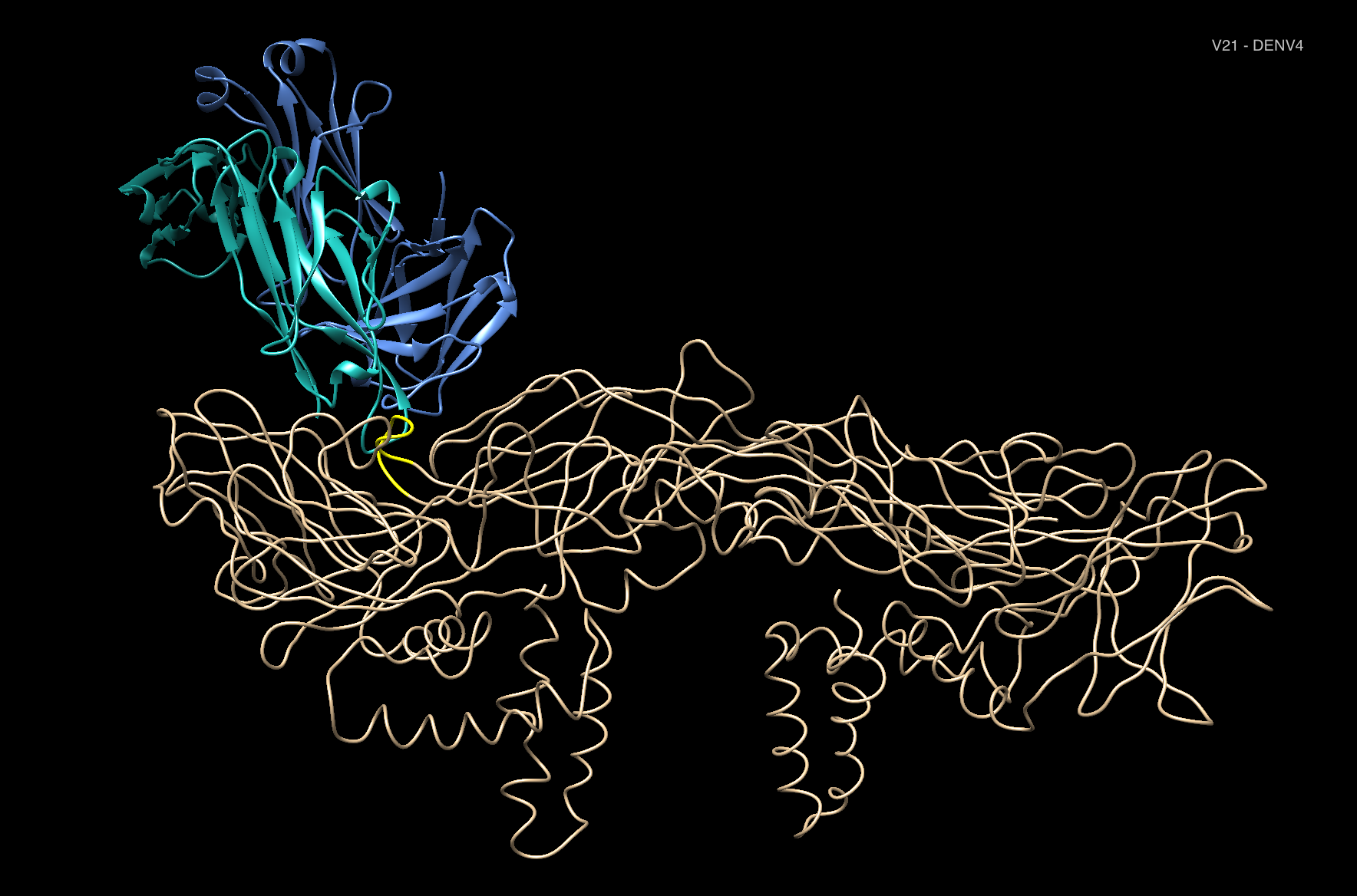 GitHub - PiyatidaNatsrita/In-silico-dengue-virus-antibody-prediction-2022: In-silico-dengue ...