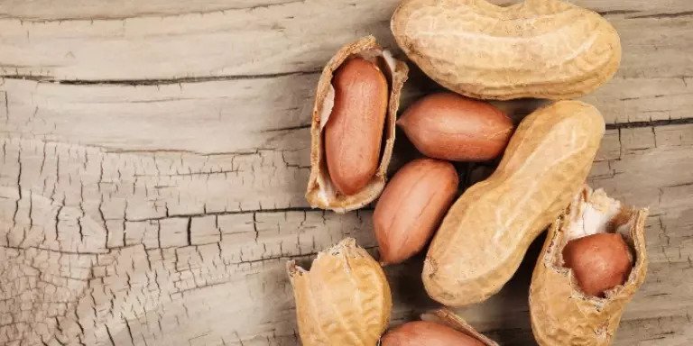 GitHub - hungtrd/peanut: A boilerplate for Golang backend :ear_of_rice: