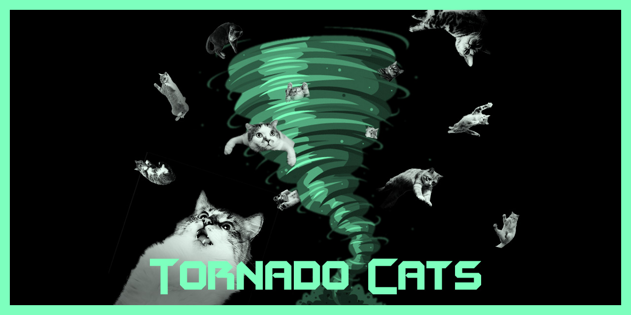 GitHub - minaminao/tornado-cats: A book for learning zero-knowledge applications and ...