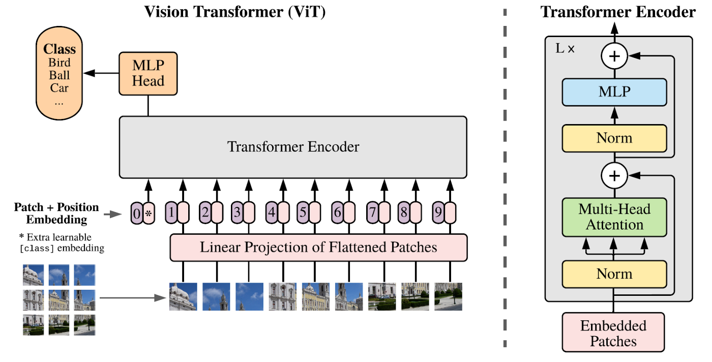 GitHub - mustafaAlgun/Covid-19-Detection-with-Vision-Transformer