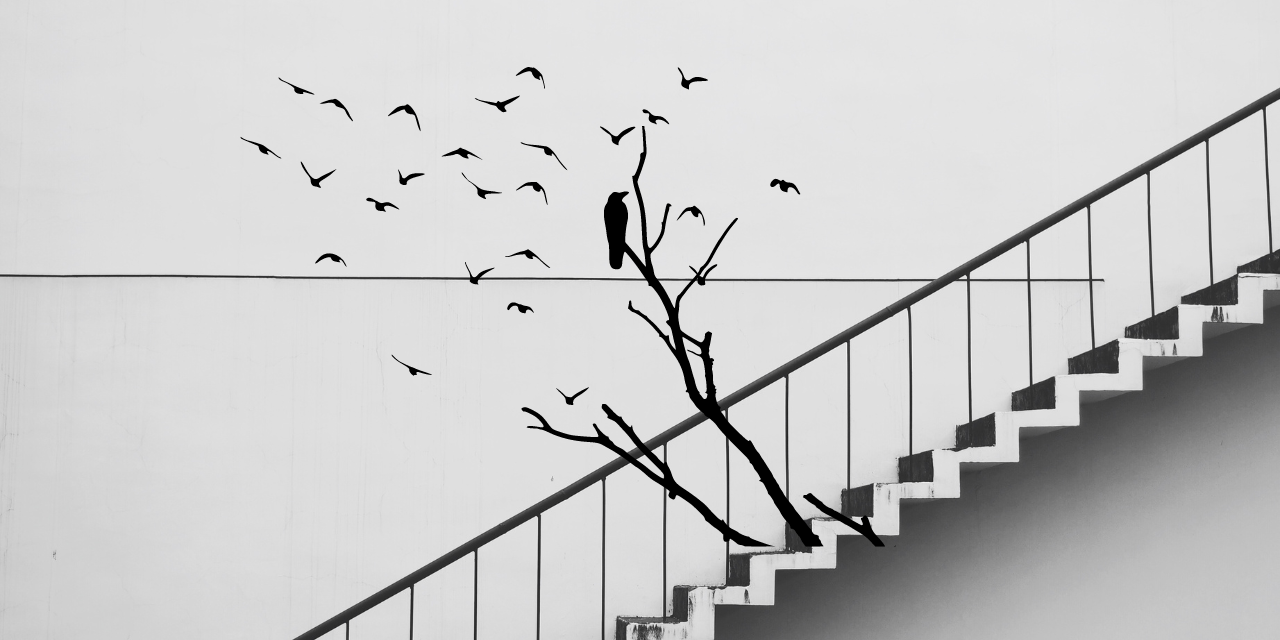 GitHub - opeolluwa/raven: tweet scheduler