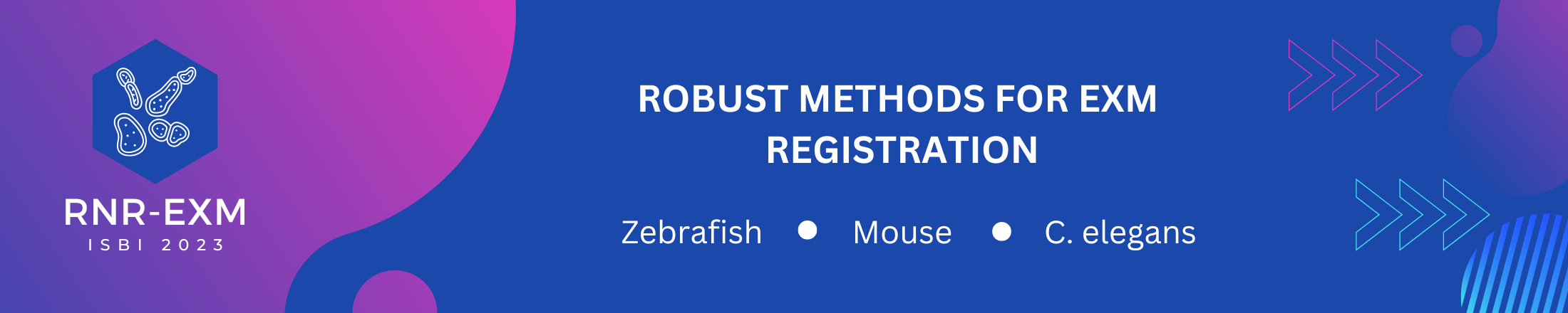 GitHub - ebesier/rnr-exm