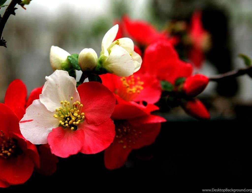 GitHub - sunimi/sunimi_jayathilaka.github.io