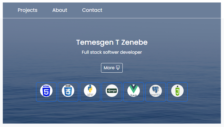 GitHub - temesgen-zenebe/myPortfolioWebsite: My portfolio Website's show-up collection is a ...