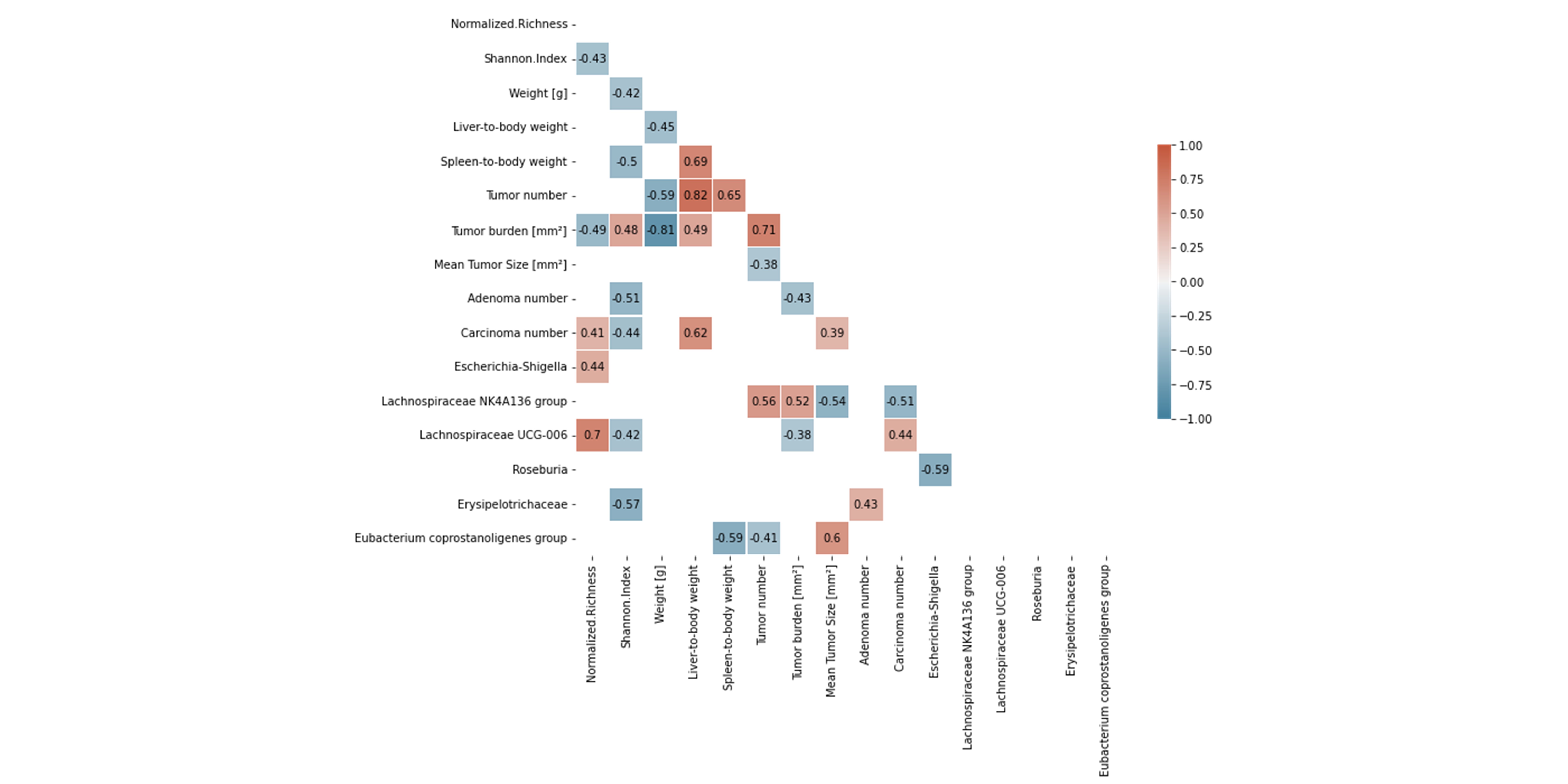 GitHub - hallerfelix/Correlation-Matrix: This code performes an extraploatory data analysis on ...