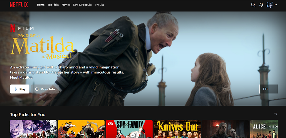 GitHub - BPongz/netflix-mirror